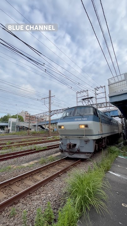 (貨物列車) 2024/08/23 3075レ EF66-125 + コキ19B (札幌タ〜名古屋タ) #Shorts - YouTube