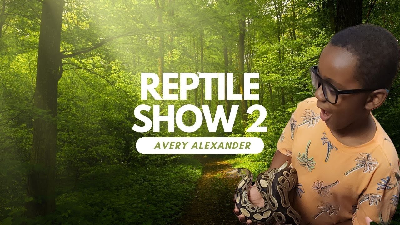 Avery Alexander : Reptile Show 2 - YouTube