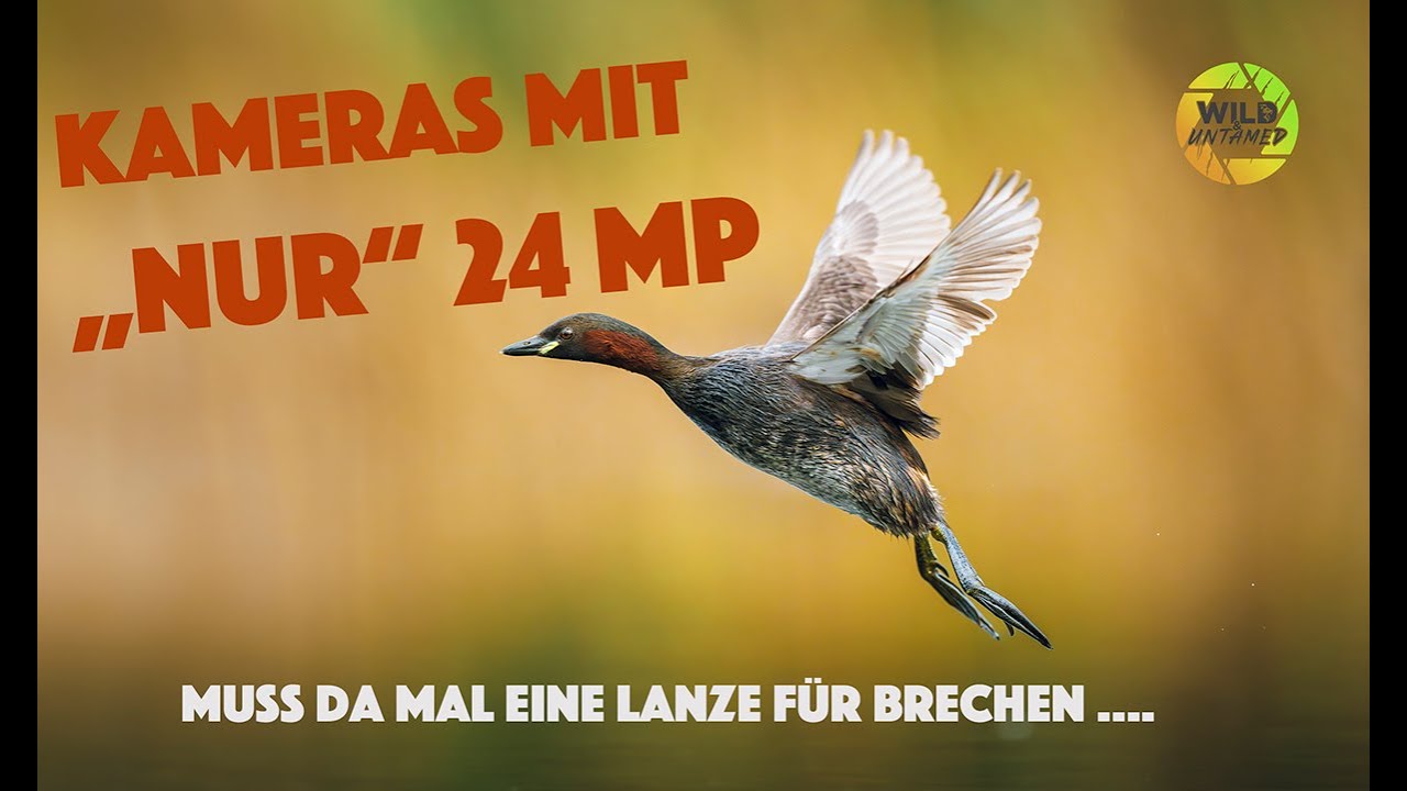 Muss da mal eine Lanze brechen für Kameras mit 24 Megapixeln - YouTube