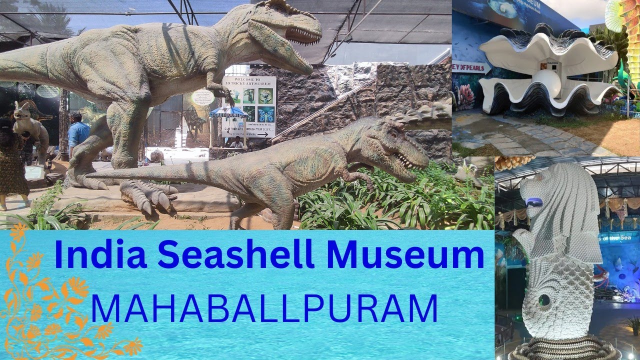 India Seashell Museum||Merlion||சீ ஷெல் அருங்கட்சியாகம்||mahaballpuram ...