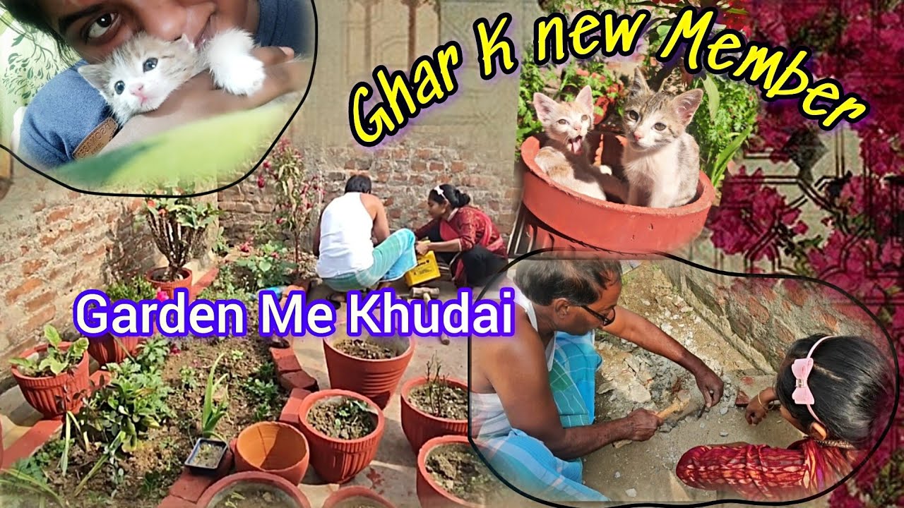 Garden Me Khudai |New member of our family | Garden ka complete renovation k liye Thora For ...