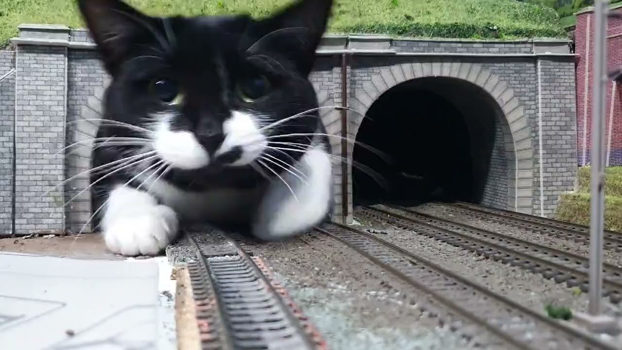 Expect the Unexpected, believe in the unbelievable, achieve the ...