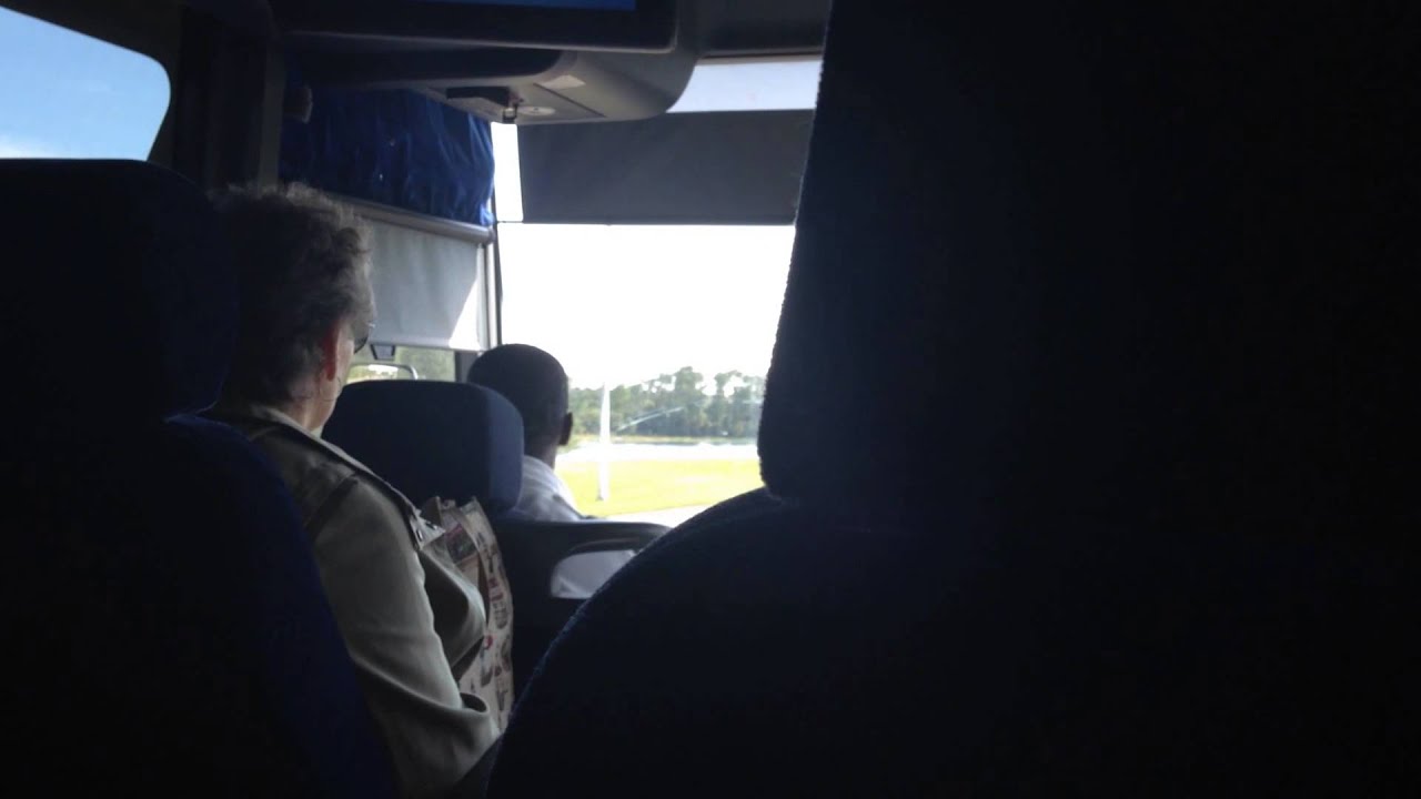 Disney Bus Driver - YouTube