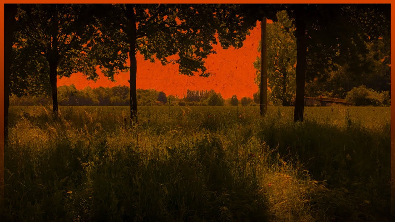 8mm | #228B22 - YouTube