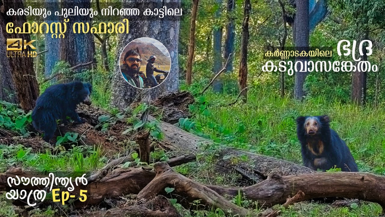 Bhadra Tiger Reserve | Lakkavalli Forest Safari | Ep 5 of South Indian ...