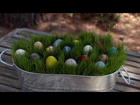 Living Easter Basket - YouTube