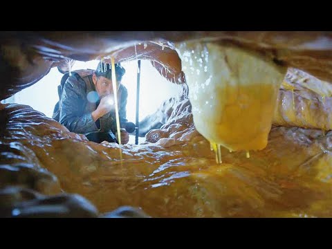 Predators Devour Man and Lay Eggs to Infect Human System |TREMOR 6 COLD DAY IN HELL