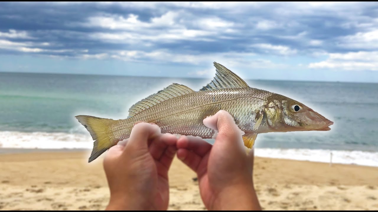 Fishing for Whiting at the NEWCASTLE Beaches - YouTube
