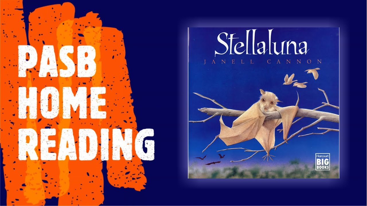 “Stellaluna" by Janell Cannon - YouTube
