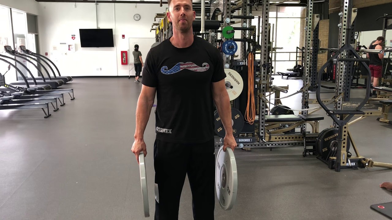 Grip Strengthening Exercise for Basketball: Plate Pinchers found in the ...