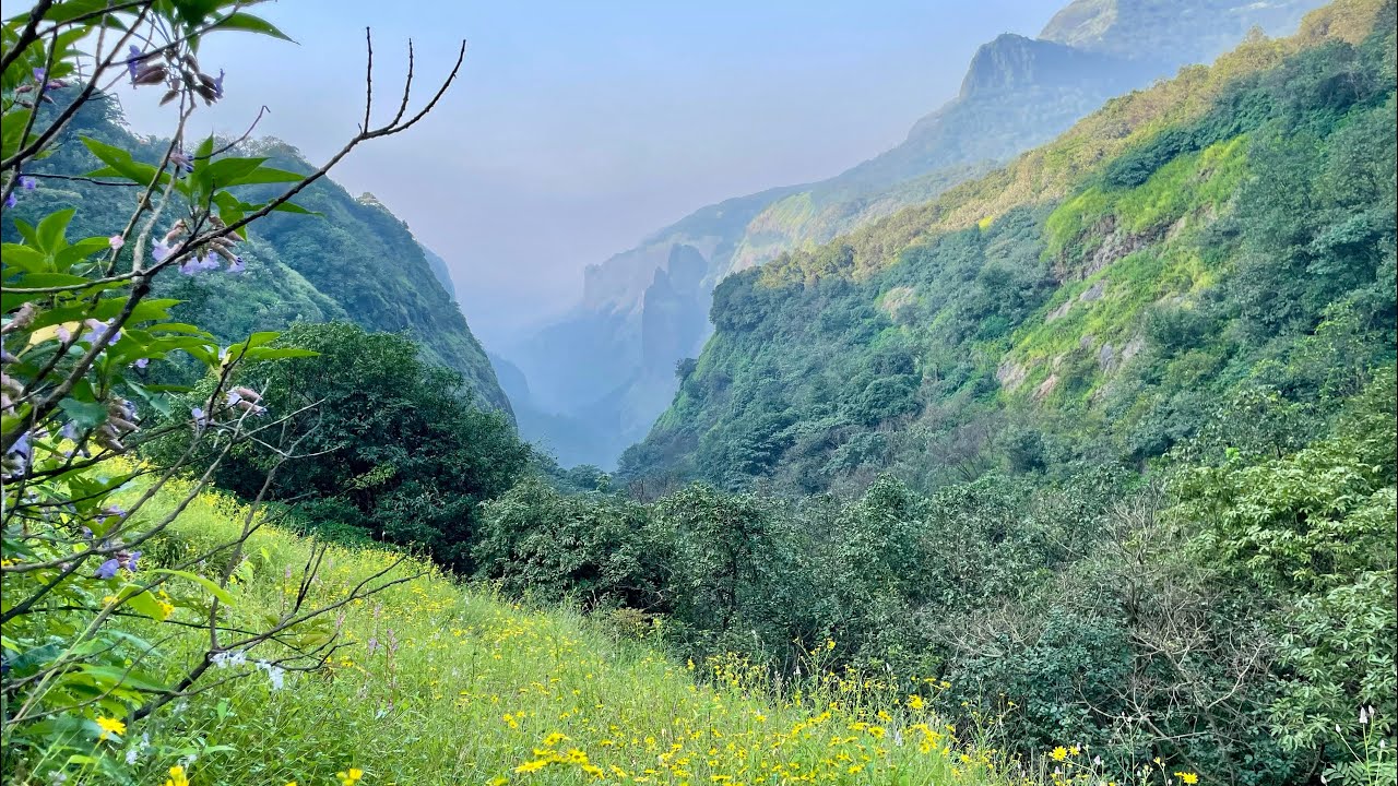 Andharban - The Dark Forest Full Trek | A complete guide | 16 KM trek ...