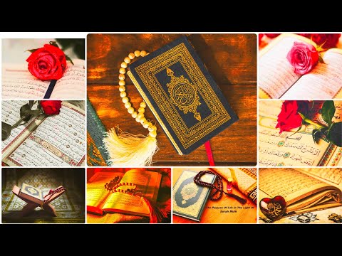 Beautiful Quran images | Holly Quran profile pic | Islamic dpz collection for WhatsApp