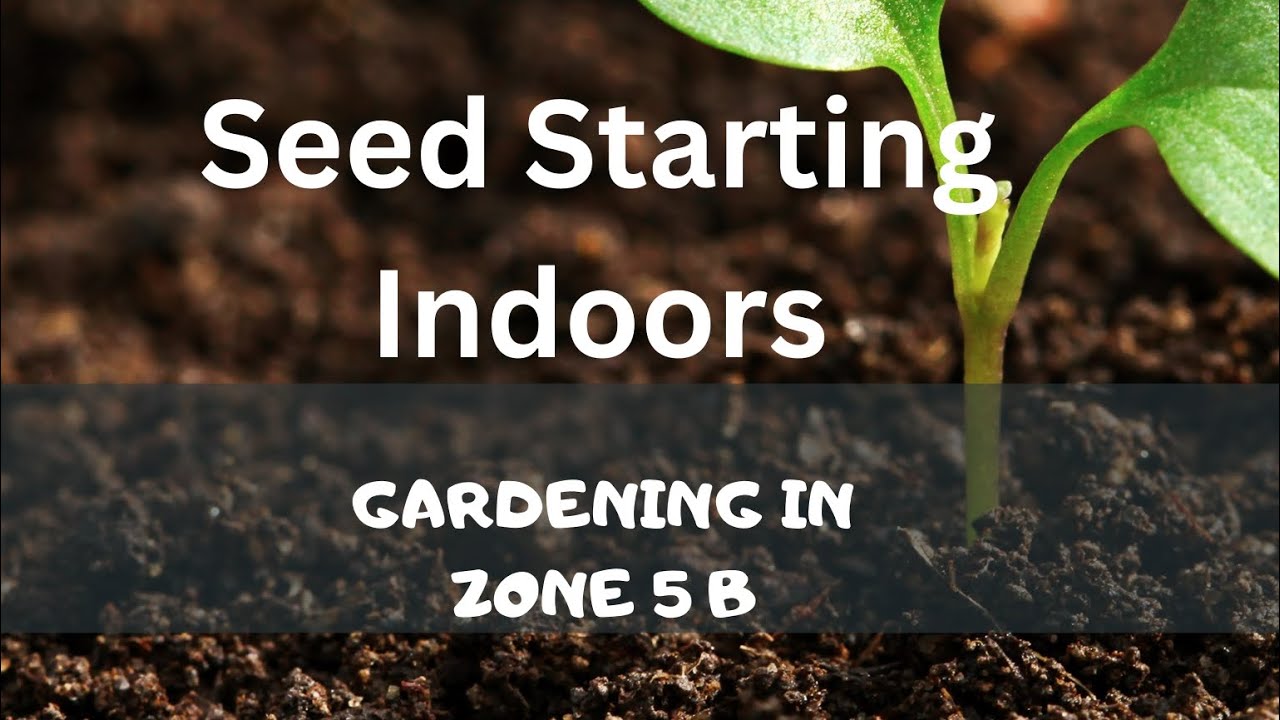 Seed Starting Indoors in Zone 5B Prince Edward Island - YouTube