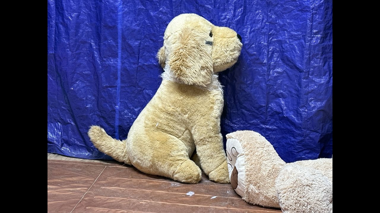 Destroy Disney Air Bud Stuffed Animal Golden Retriever Dog Plush Toy ...
