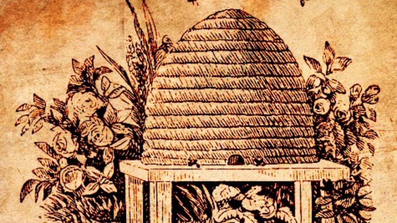 The Beehive: An Operative and Speculative Presentation - YouTube