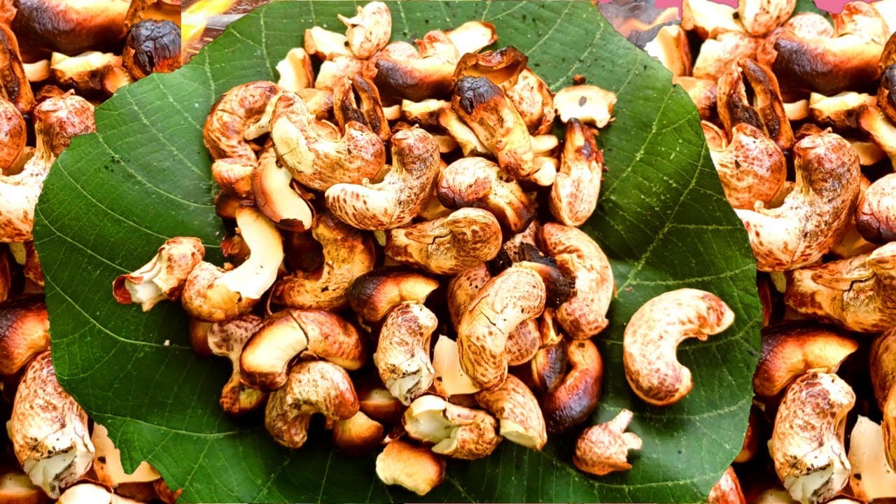 How to Perfectly Burn Cashew Nuts : Cashew Nut Roasting in the Village ...