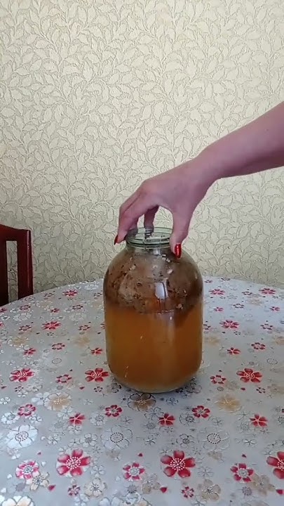 питание для рассады - YouTube