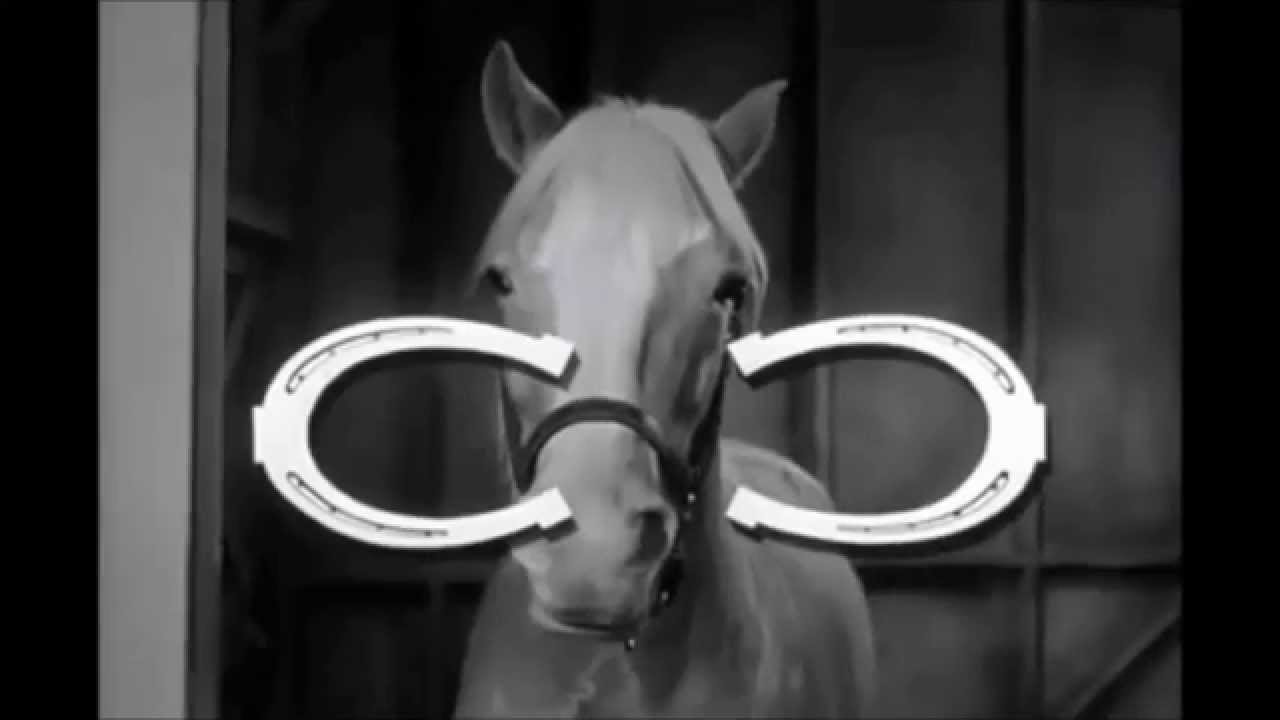 Mr Ed Intro with unseen video. - YouTube