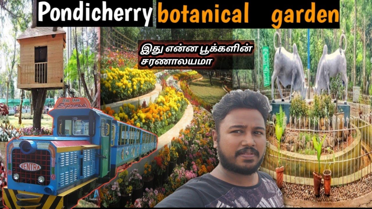 Pondicherry botanical garden/beautiful place/ must visit to place - YouTube