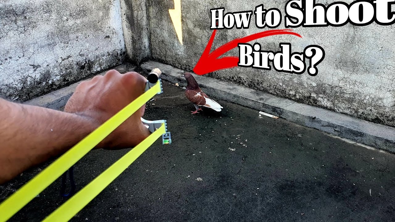 How To Shoot Birds Perfectly with Slingshot - YouTube