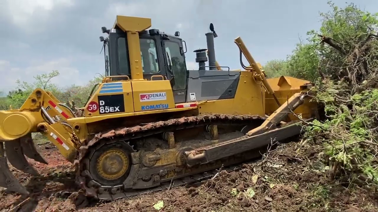 BULLDOZER D85 KOMATSU Y BULLDOZER D65 KOMATSU - YouTube