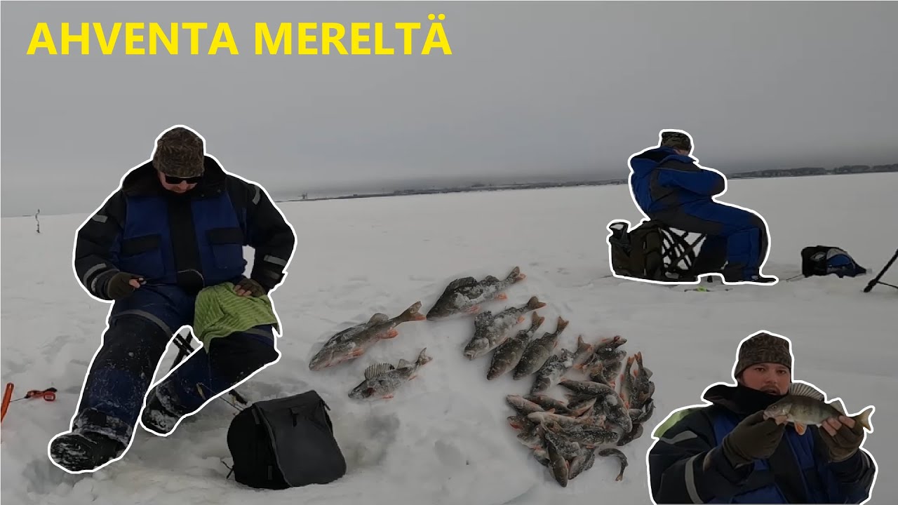 AHVENTA MERELTÄ | RUOKAKALAT LÖYTY - YouTube
