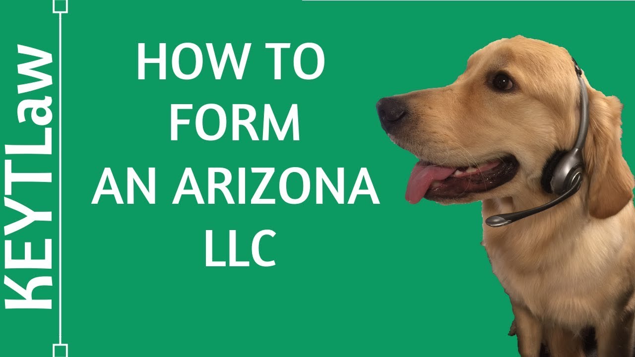 How To Form a Do-It-Yourself Arizona LLC (2024) - YouTube