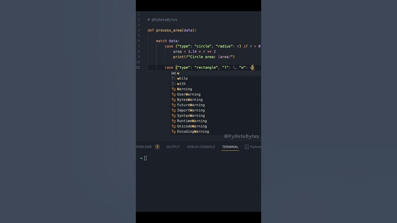 Python Match Case Way More Powerful Than Switch Statements Pythontips Programming Youtube