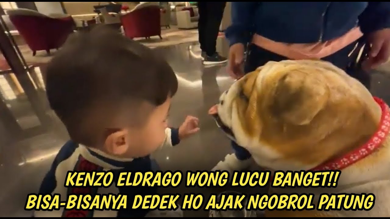 KENZO ELDRAGO WONG LUCU BANGET BISA-BISANYA DEDEK HO AJAK NGOBROL ...