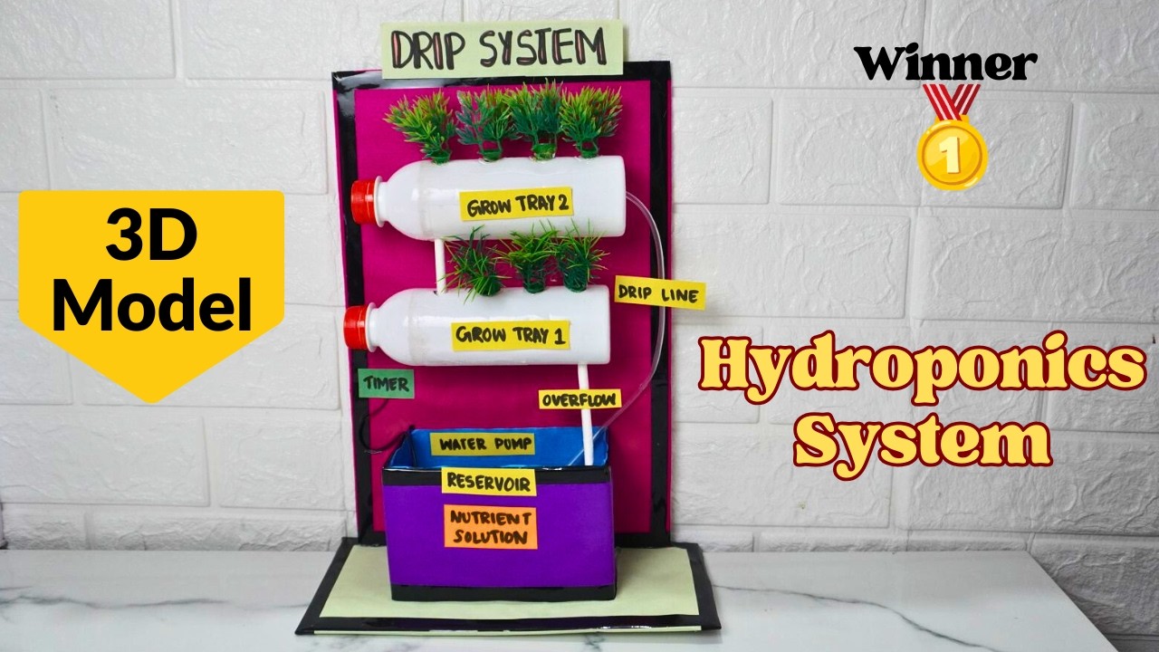 Hydroponics Drip System Project Model | Easy Science Project for School ...