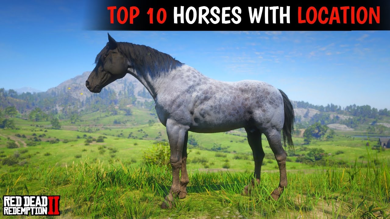 Top 10 Rare & Fastest Horses For Arthur With Location & Details - RDR2 ...