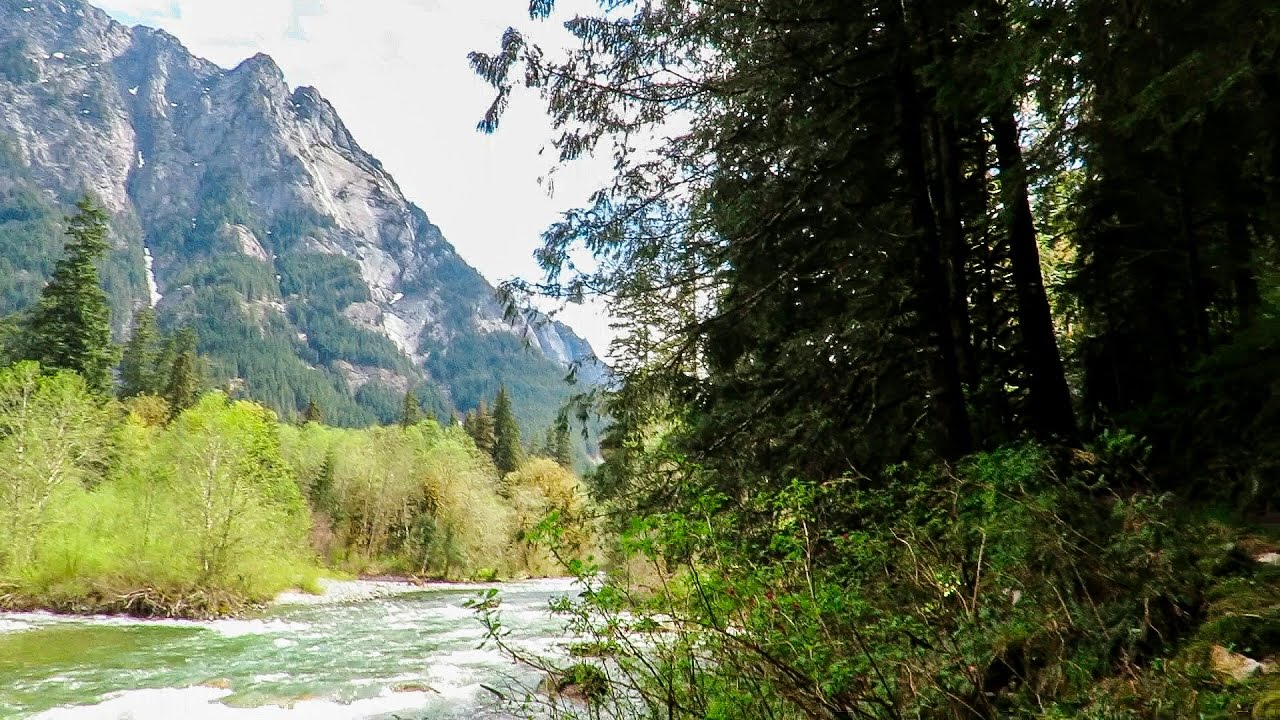 2017-05-08 Middle Fork Snoqualmie River Trail near North Bend - YouTube