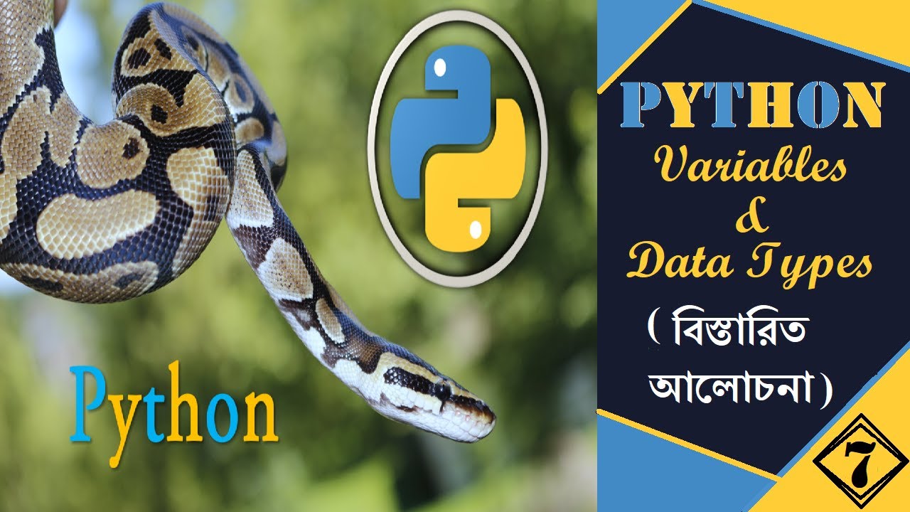 Variables and Data Types in Python | Python Tutorial | In Bengali | 07 - YouTube