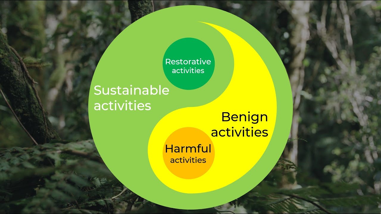 Balanced Green Economy Model - YouTube