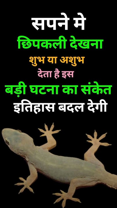 सपने में छिपकली देखना Sapne Mein Chipkali Dekhna Seeing Lizard In