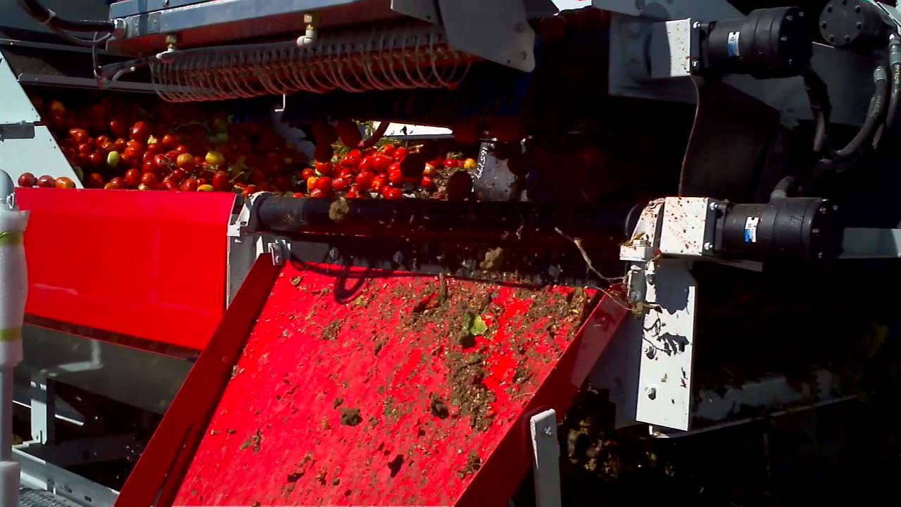 Odenberg NFM M.O.T sorter - YouTube