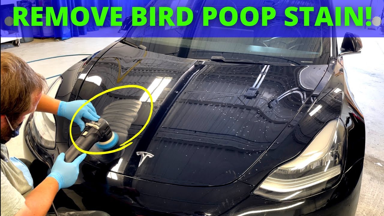 Tesla model 3 scratch removal | DIY Tesla bird poop scratch removal ...