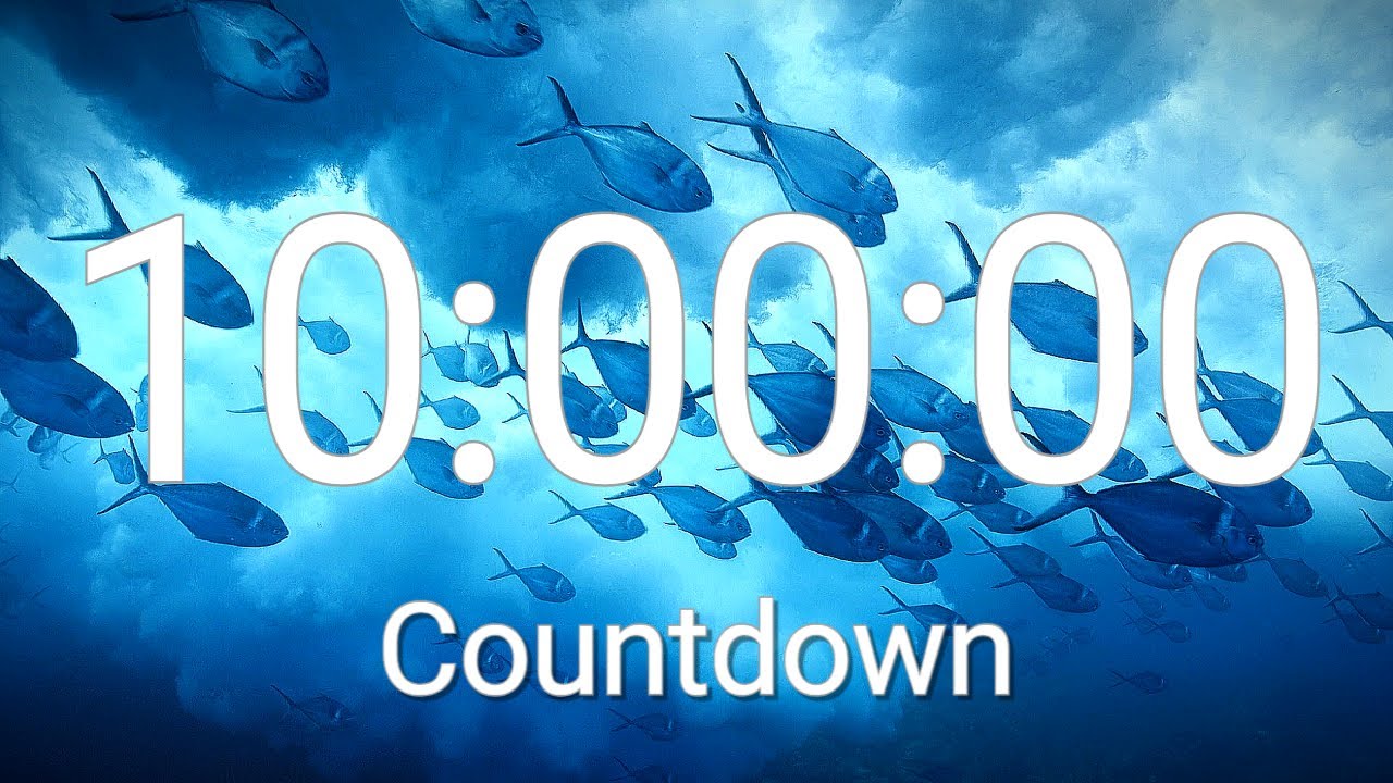 10 Hours Timer with Alarm - YouTube