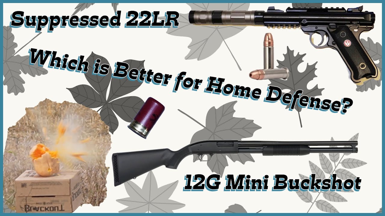 Which is Better for Home Defense - 22LR Suppressed or 12G Mini-Buckshot ...