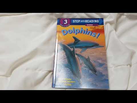 1일1영어책 스텝인투리딩 Dolphins! Step into reading 3 - YouTube