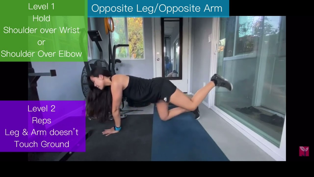 Opposite leg/Opposite Arm Reps - YouTube