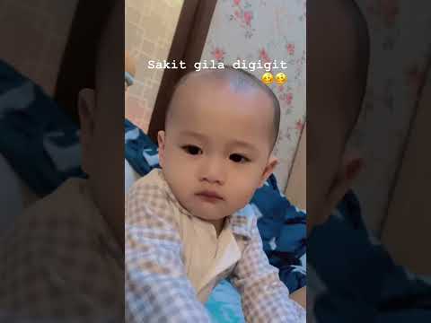 TUKANG GIGIT PUTING
