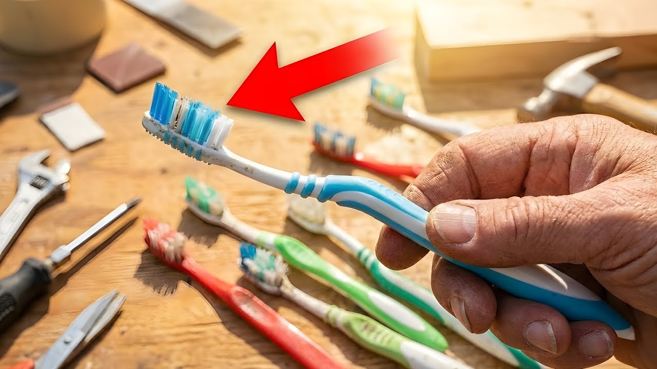 Don’t Throw Away Old Toothbrushes! Turn Them Into This GENIUS Workshop ...