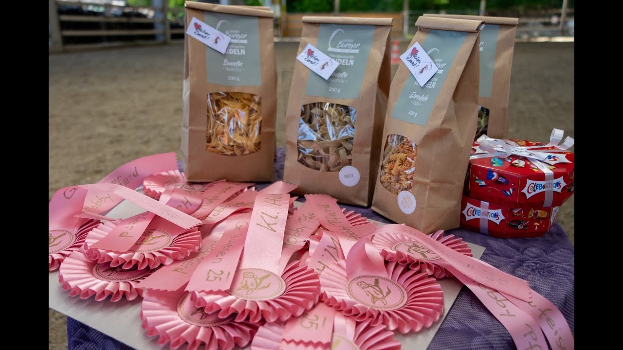 Sonderprüfung Kl. & Gr Hufeisen 2025 im UPSV Hobby Pferd - YouTube