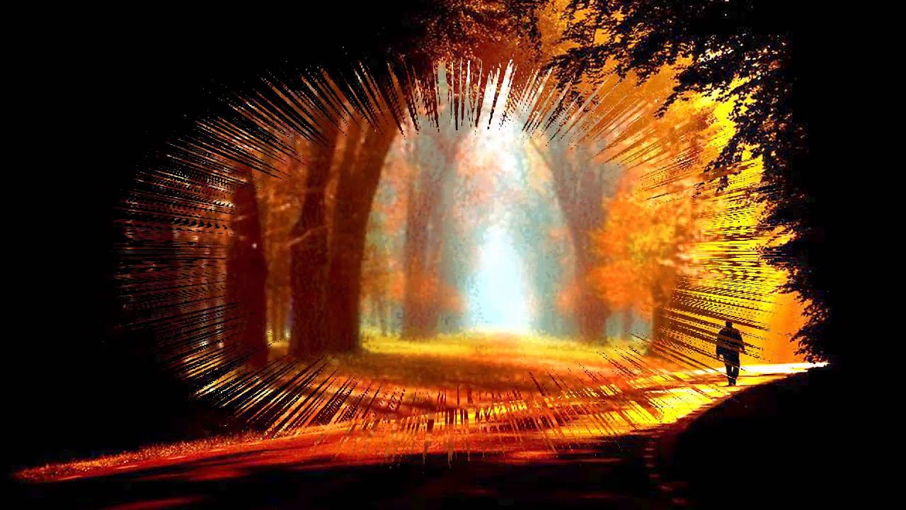 Magnifico Esplendor - YouTube