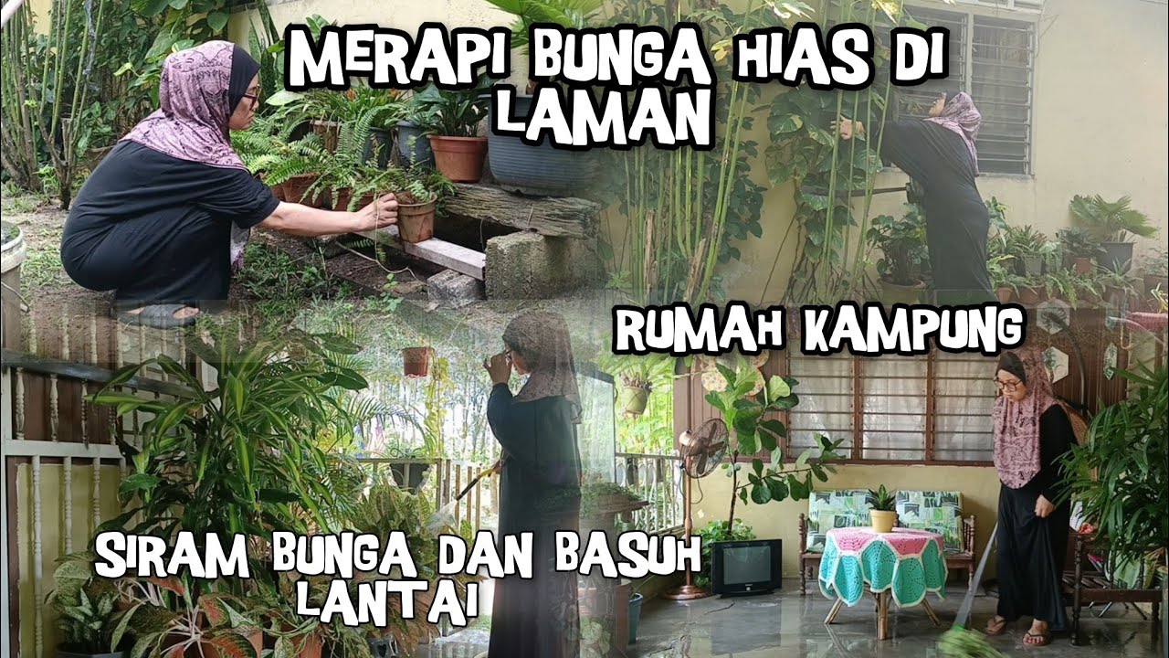 Merapi Bunga Hias Di Laman Rumah Kampung 🏡🪴🌴 Siram Bunga Dan Basuh ...