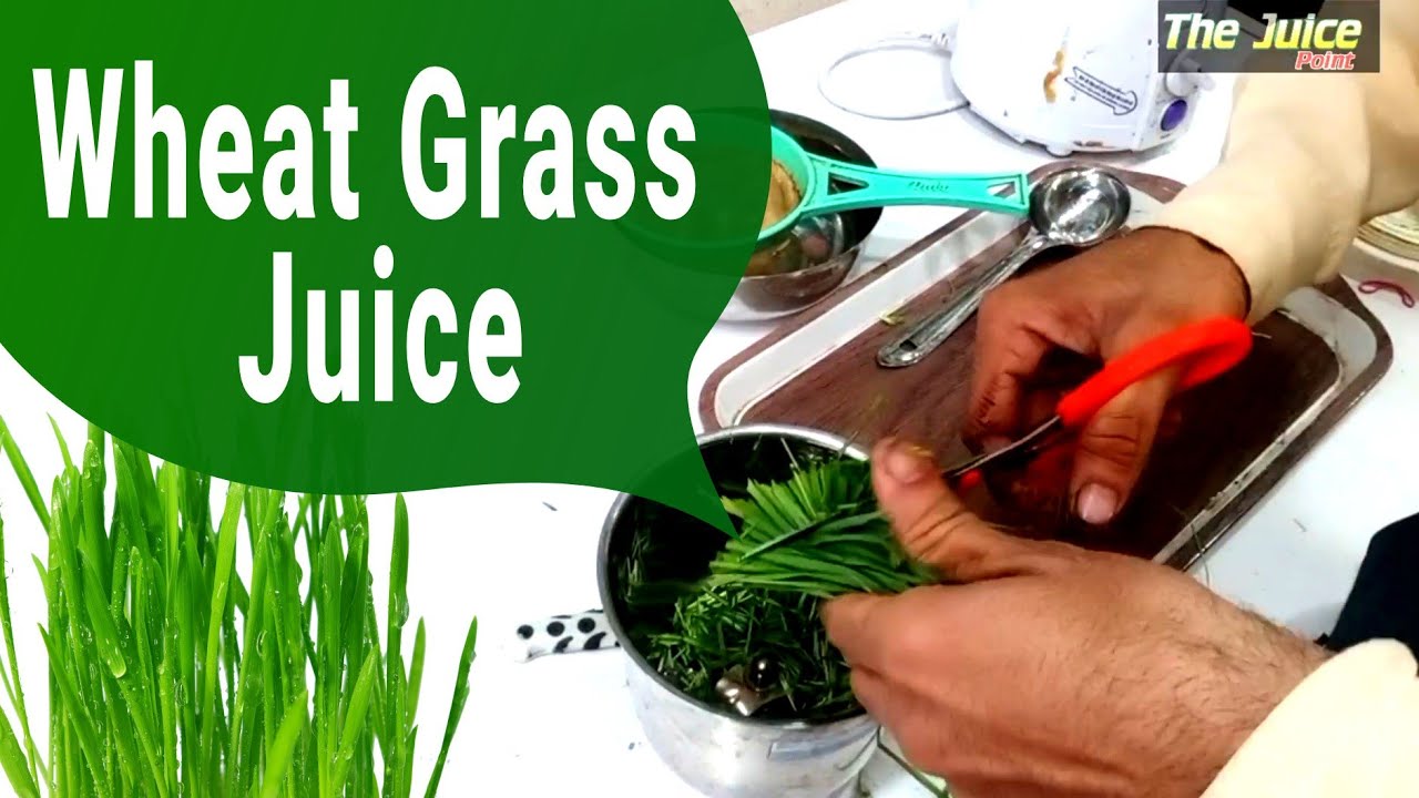 Wheat grass Juice recipe with The Juice Point - YouTube