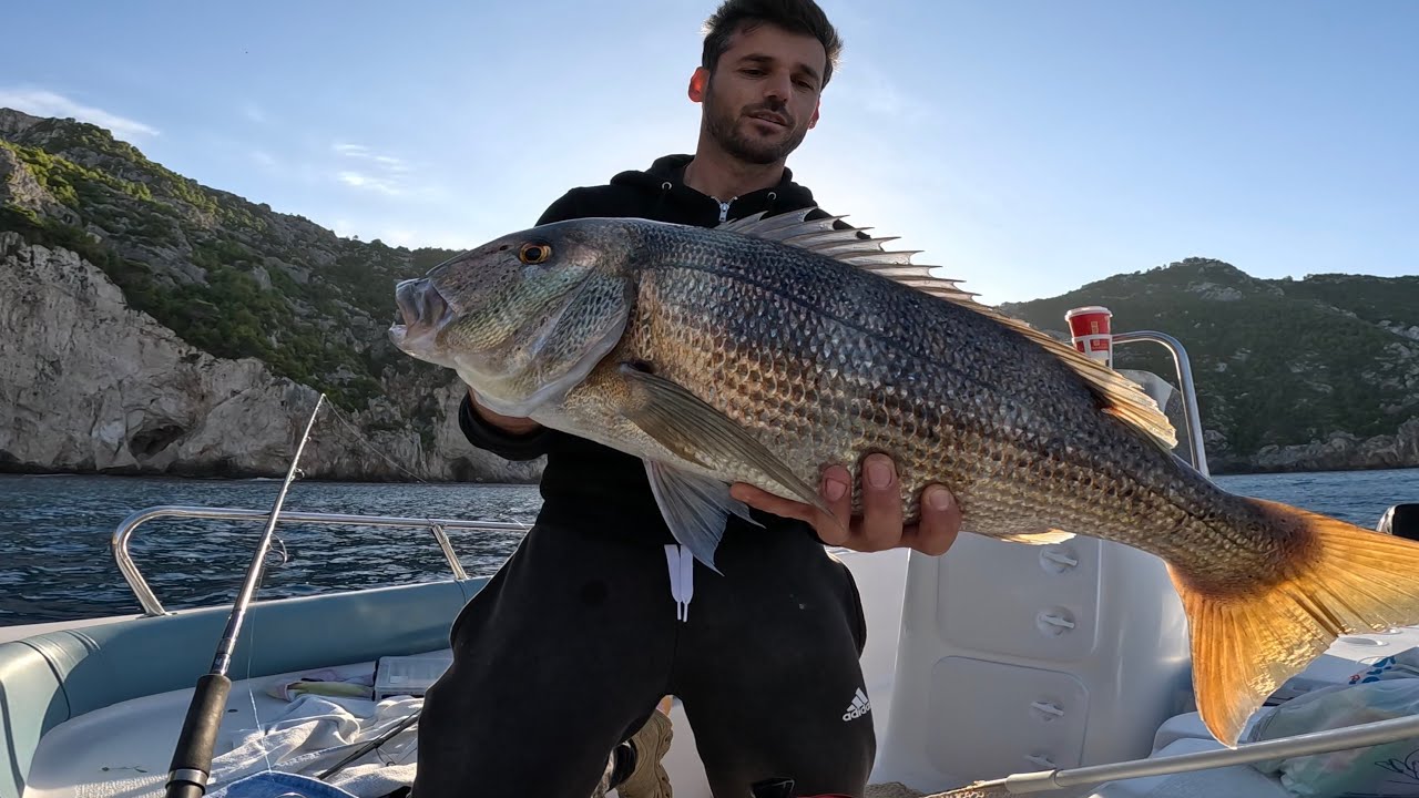 Mbreteresha detit peshku me I bukur. Peshkim jigging. Big snapper ...