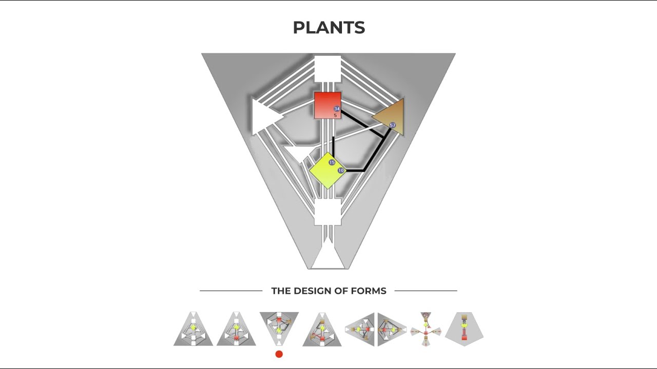 Plants | The Design of Forms | Part 3 - YouTube