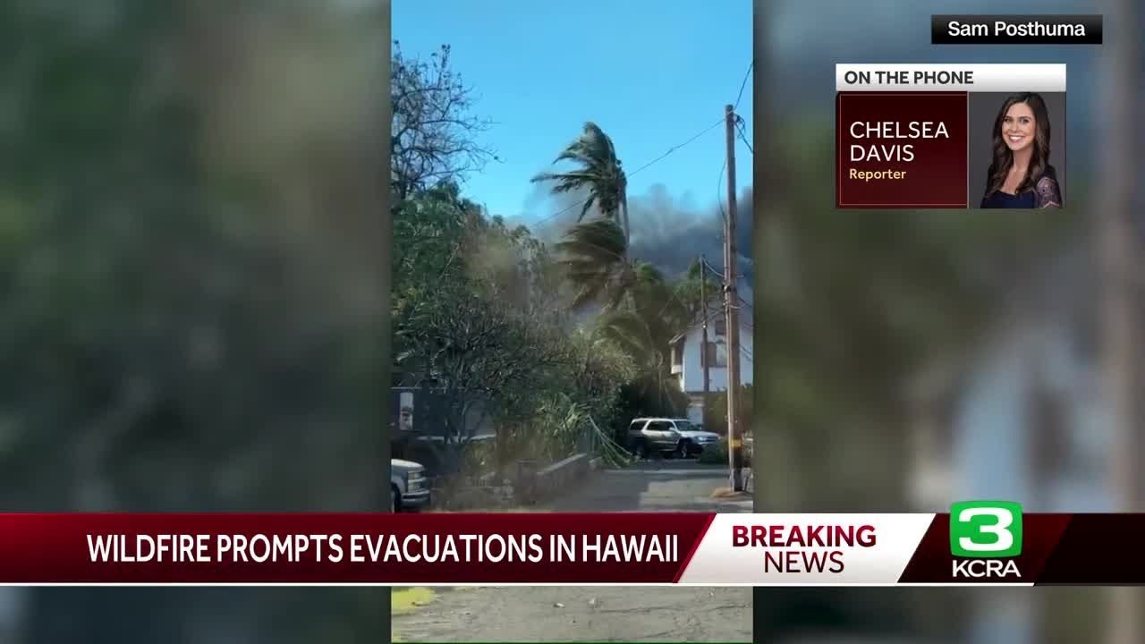 Reporter Chelsea Davis describes Maui wildfire impacts - YouTube